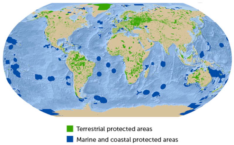 Overfishing: A Current Serious Environmental Problem - Global Waste ...