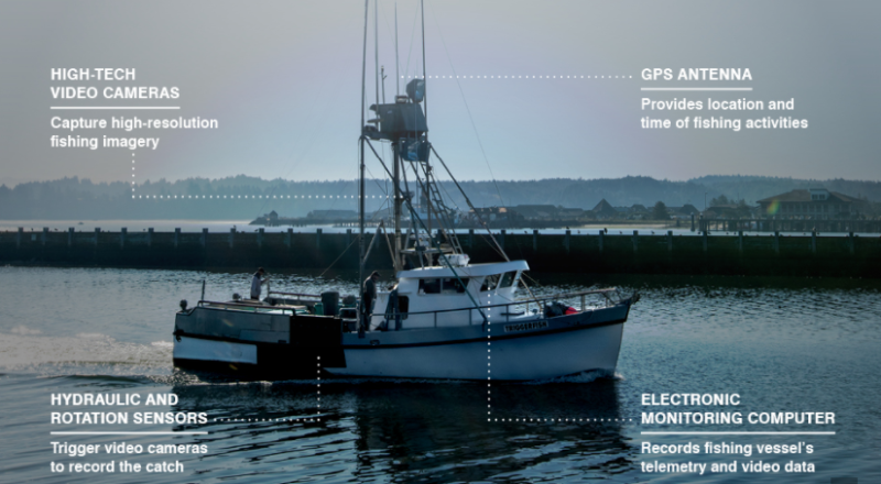 Overfishing: A Current Serious Environmental Problem - Global Waste ...