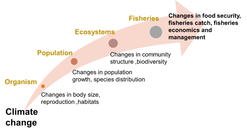 Overfishing: A Current Serious Environmental Problem - Global Waste ...
