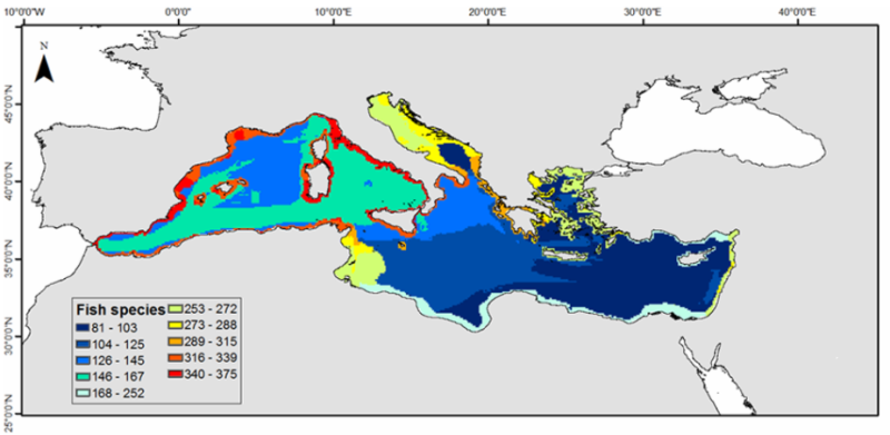 Overfishing: A Current Serious Environmental Problem - Global Waste ...
